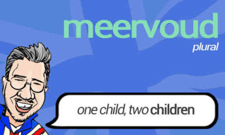 Meervoud - Meester Gijs